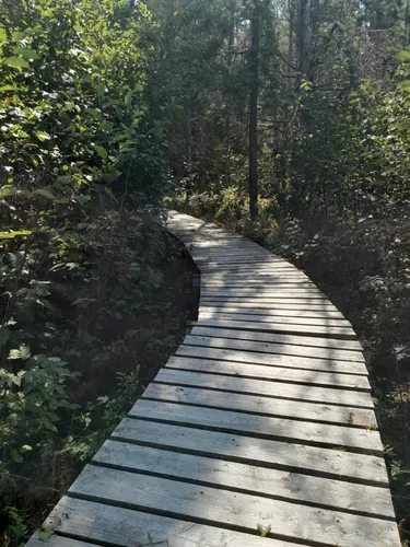 Best hikes and trails in Meadowlands | AllTrails