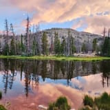 Ruth Lake Trail, Utah - 487 Reviews, Map | AllTrails