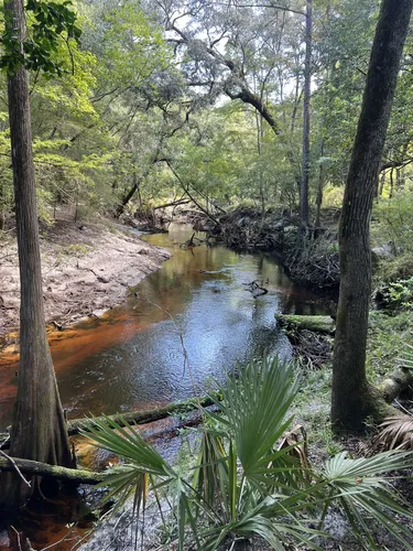 2023 Best River Trails in Middleburg | AllTrails
