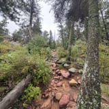 Mount Herman Trail, Colorado - 1,653 Reviews, Map | AllTrails