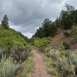 Chamisa Trail, New Mexico - 1,232 Reviews, Map | AllTrails