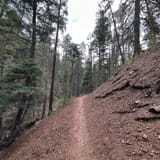 Chamisa Trail, New Mexico - 1,232 Reviews, Map | AllTrails