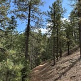 Chamisa Trail, New Mexico - 1,232 Reviews, Map | AllTrails