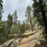 Chamisa Trail, New Mexico - 1,232 Reviews, Map | AllTrails