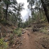 Chamisa Trail, New Mexico - 1,232 Reviews, Map | AllTrails