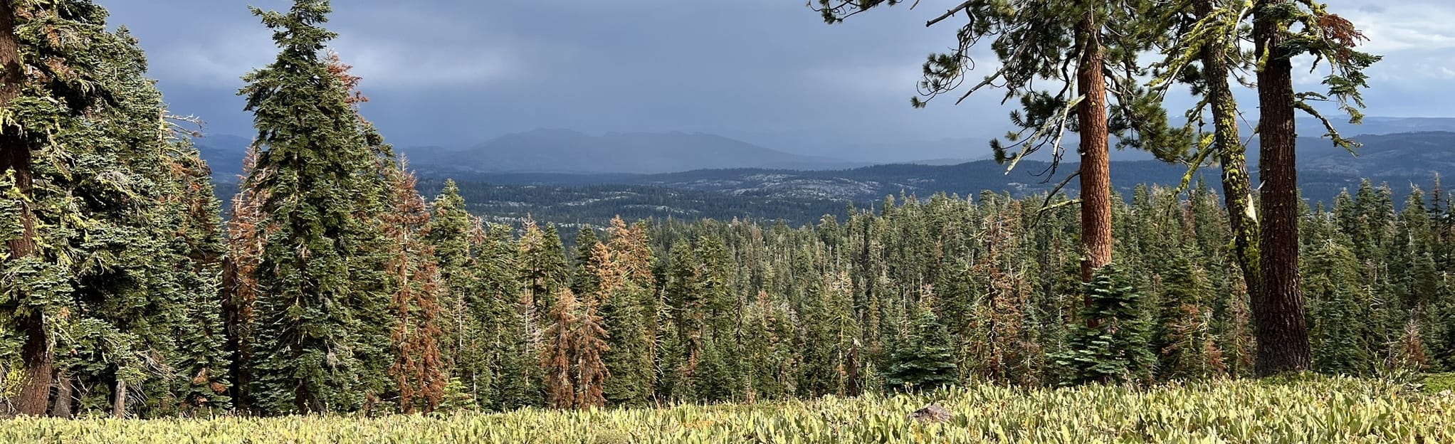 Corral Hollow OHV Trail, California - 123 Reviews, Map | AllTrails