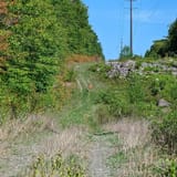 Tobyhanna Range Trail, Pennsylvania - 30 Reviews, Map | AllTrails