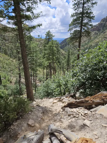 10 Best Trails and Hikes in Happy Jack | AllTrails