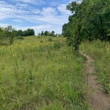 Gander Mountain Loop Trail, Illinois - 467 Reviews, Map | AllTrails