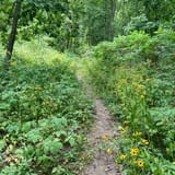 Gander Mountain Loop Trail, Illinois - 465 Reviews, Map | AllTrails
