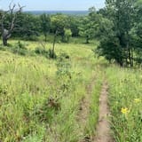 Gander Mountain Loop Trail, Illinois - 467 Reviews, Map | AllTrails