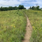 Gander Mountain Loop Trail, Illinois - 465 Reviews, Map | AllTrails