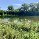 Gander Mountain Loop Trail, Illinois - 467 Reviews, Map | AllTrails