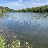 Gander Mountain Loop Trail, Illinois - 467 Reviews, Map | AllTrails