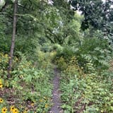 Gander Mountain Loop Trail, Illinois - 514 Reviews, Map | AllTrails