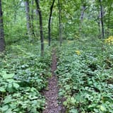 Gander Mountain Loop Trail, Illinois - 514 Reviews, Map | AllTrails