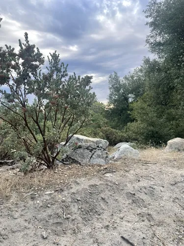 Best Hikes and Trails in Idyllwild | AllTrails