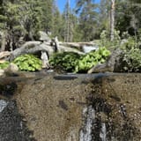 Carlon Falls Trail, California - 1,109 Reviews, Map | AllTrails