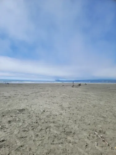 Best Hikes and Trails in Little River State Beach | AllTrails