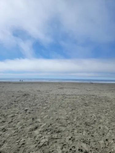 Best Hikes and Trails in Little River State Beach | AllTrails