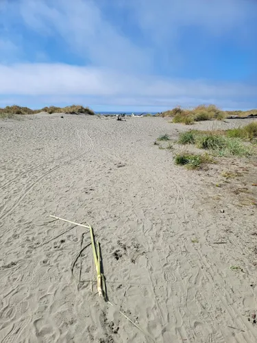 Best Hikes and Trails in Little River State Beach | AllTrails