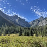 Lake Stuart Trail, Washington - 690 Reviews, Map | AllTrails