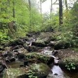 Nebraska Notch via Lake Mansfield Trail, Vermont - 678 Reviews, Map ...