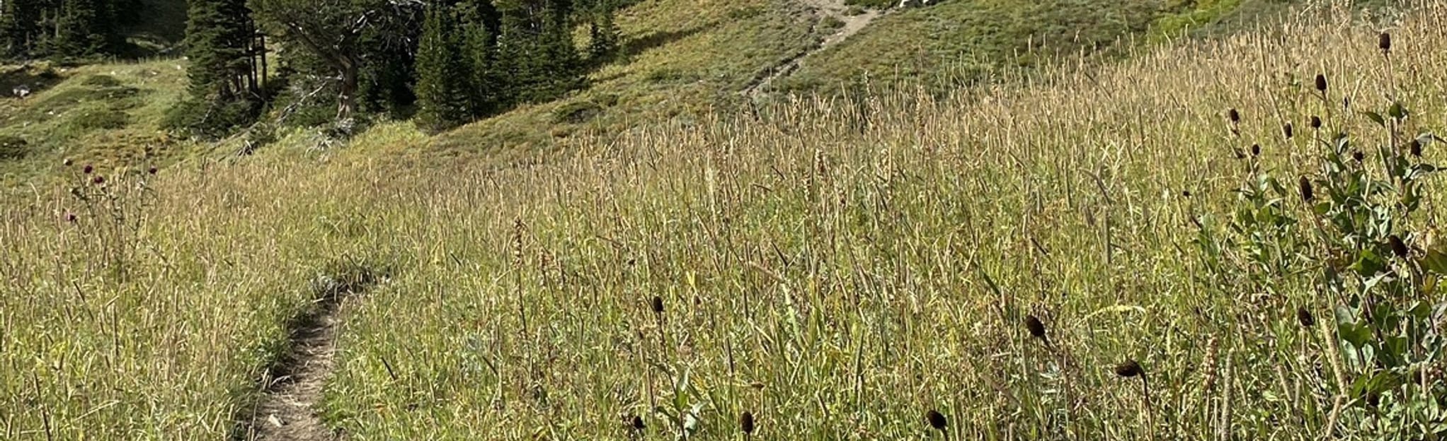 Frazier Lake, Montana - 90 Reviews, Map | AllTrails