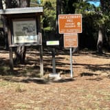 Huckleberry Hill Loop Trail, California - 848 Reviews, Map | AllTrails