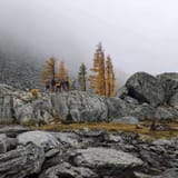 Fisher Peak, British Columbia, Canada - 221 Reviews, Map | AllTrails