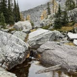 Fisher Peak, British Columbia, Canada - 221 Reviews, Map | AllTrails