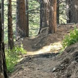 Eagle Ridge Trail, Nevada - 641 Reviews, Map | AllTrails