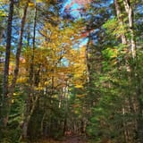 Hancock Notch Trail, New Hampshire - 56 Reviews, Map | AllTrails