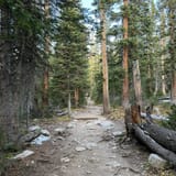 Mitchell Lake Trail, Colorado - 579 Reviews, Map | AllTrails