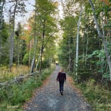 Bar Harbor Shore Path, Maine - 1,041 Reviews, Map | AllTrails