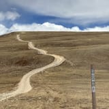 Red Cone OHV Loop, Colorado - 196 Reviews, Map | AllTrails