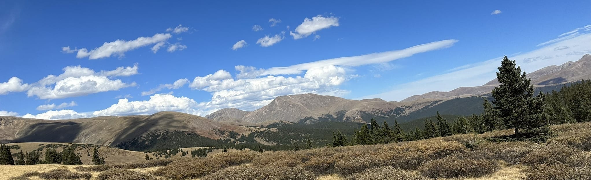 Red Cone OHV Loop, Colorado - 159 Reviews, Map | AllTrails