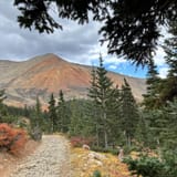 Red Cone OHV Loop, Colorado - 196 Reviews, Map | AllTrails