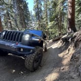 Red Cone OHV Loop, Colorado - 196 Reviews, Map | AllTrails