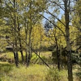 Davis Ponds Trail, Colorado - 1,198 Reviews, Map | AllTrails