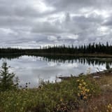 String Lake Trail, Wyoming - 1,990 Reviews, Map | AllTrails