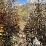 Ute Trail, Colorado - 1,333 Reviews, Map | AllTrails