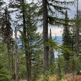 Blacktail Mountain Trail, Idaho - 53 Reviews, Map | AllTrails