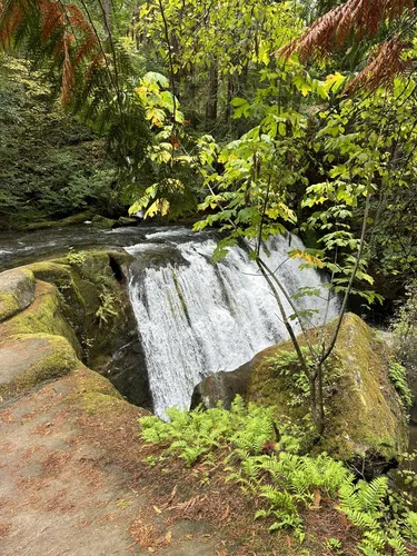 Whatcom Falls Park: de beste routes om te wandelen | AllTrails