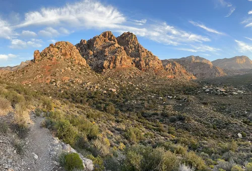 10 Best Trails and Hikes in Blue Diamond | AllTrails