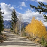 Meadow Loop and Ridge Trail, Colorado - 3,196 Reviews, Map | AllTrails