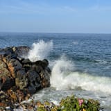 Marginal Way, Maine - 1,442 Reviews, Map | AllTrails