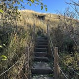 Bodenburg Butte via West Butte Trail, Alaska - 1,253 Reviews, Map ...