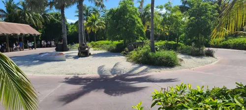 2023 Best Views Trails in Castaway Cay | AllTrails