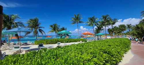 2023 Best Views Trails in Castaway Cay | AllTrails